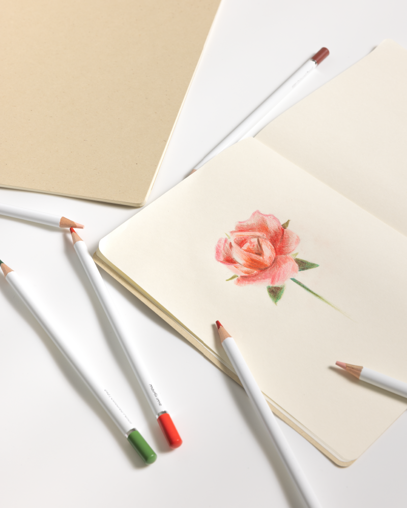 Standard Issue Notebook – Mediums